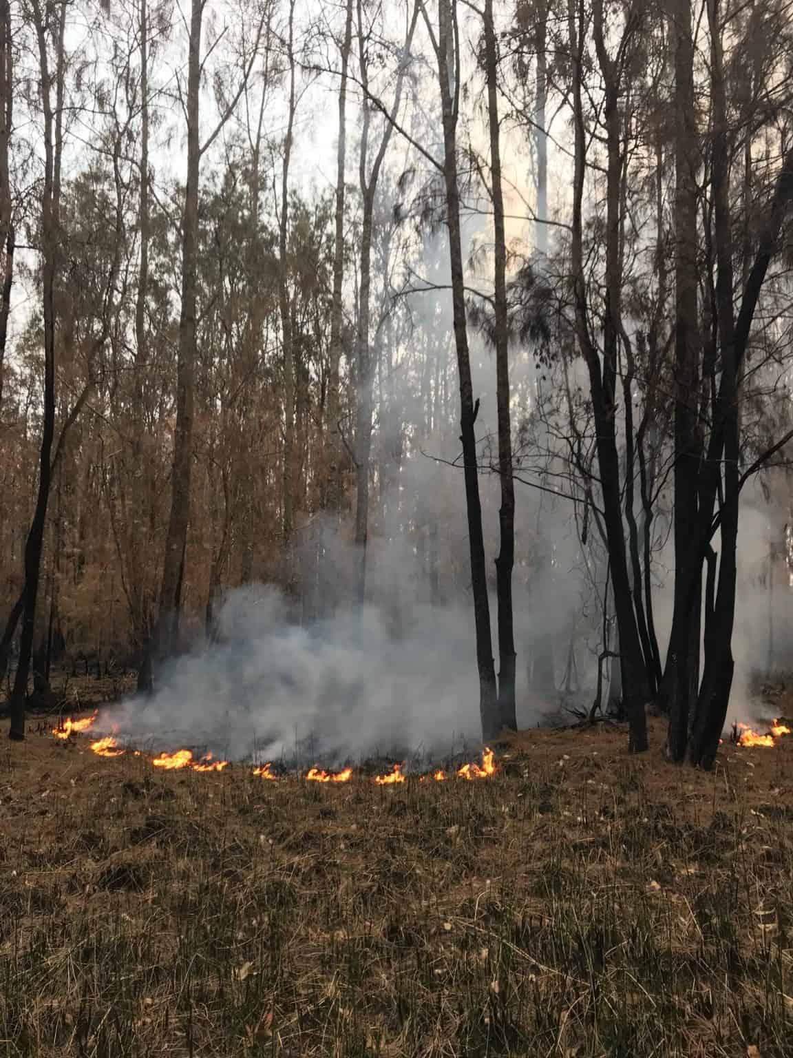 Cultural Burning is about more than just hazard reduction – IndigenousX