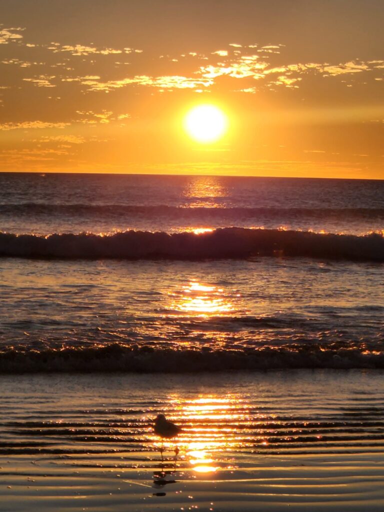 Keeping the Fire Burning: Collective Resistance, Sharing Culture, Creating Community and ...